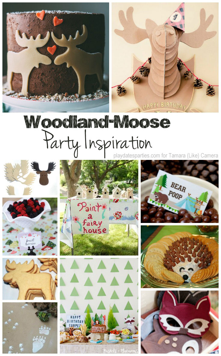 Moose Themed Party Decorations | Shelly Lighting