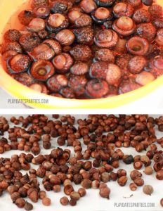 How to Preserve Pine Cones and Acorns for Decorating