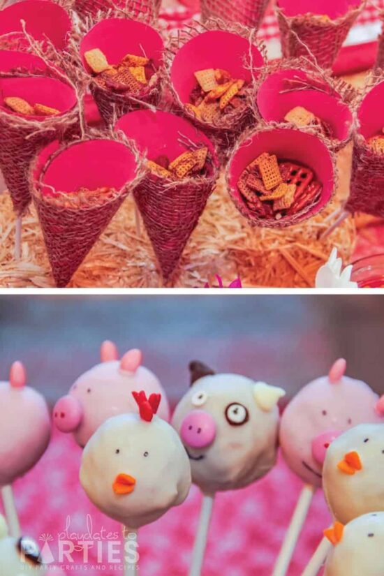 Adorably Unique Farm Birthday Party Ideas