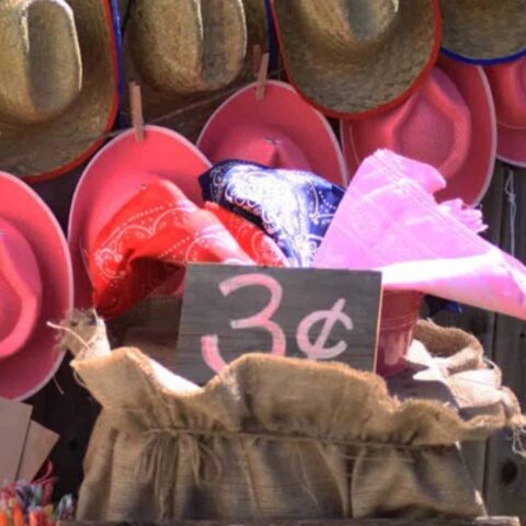 30+ Epic August Party Themes