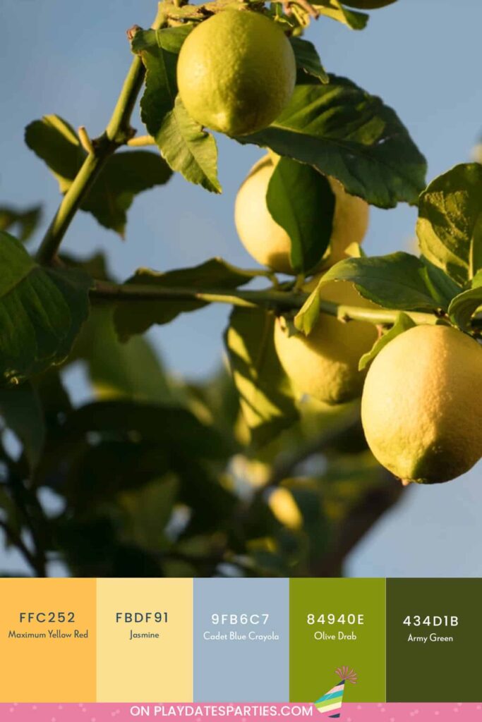 25+ Lemonade Party Ideas (Favors, Decor, Food, & more)