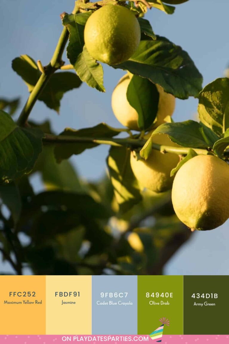 25+ Lemonade Party Ideas (Favors, Decor, Food, & more)