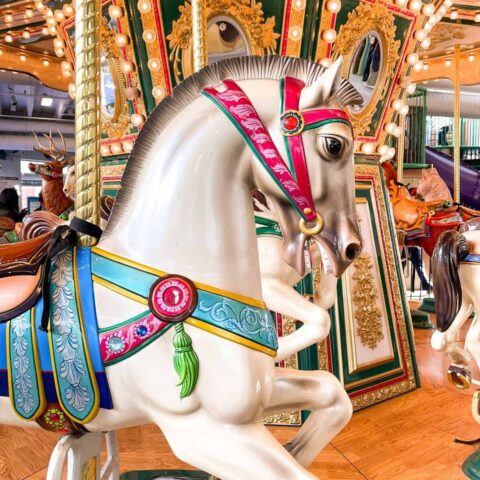 40+ June party themes for any style and budget