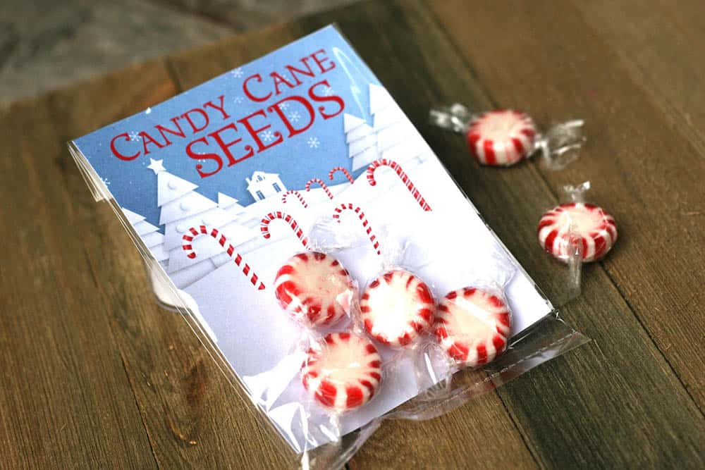 11 Cute and Easy DIY Class Gifts for Christmas