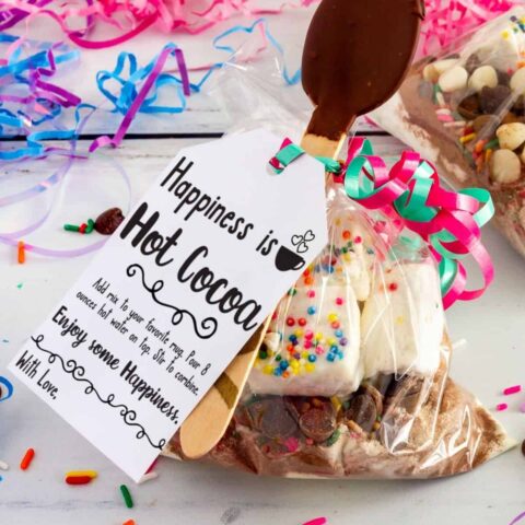 Hot Chocolate Gift Idea + Free Printable Hot Cocoa Gift Tags