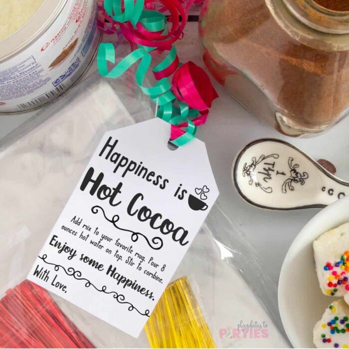 Hot Chocolate Gift Idea + Free Printable Hot Cocoa Gift Tags