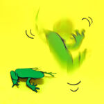 Creative Leap Year Ideas with Kids