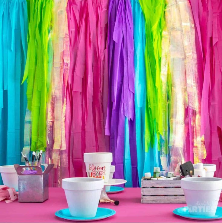 DIY Fringe Party Backdrop (on a Budget)
