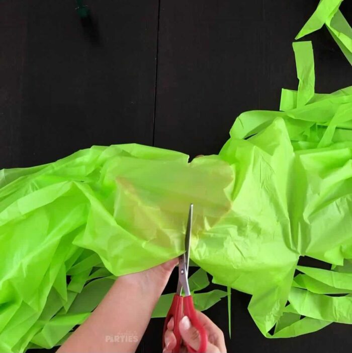 DIY Fringe Party Backdrop (on a Budget)