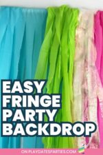 DIY Fringe Party Backdrop (on a Budget)