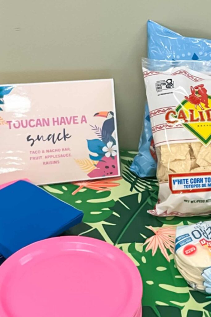 Toucan Themed 2nd Birthday Party
