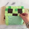 DIY Minecraft Creeper Cake
